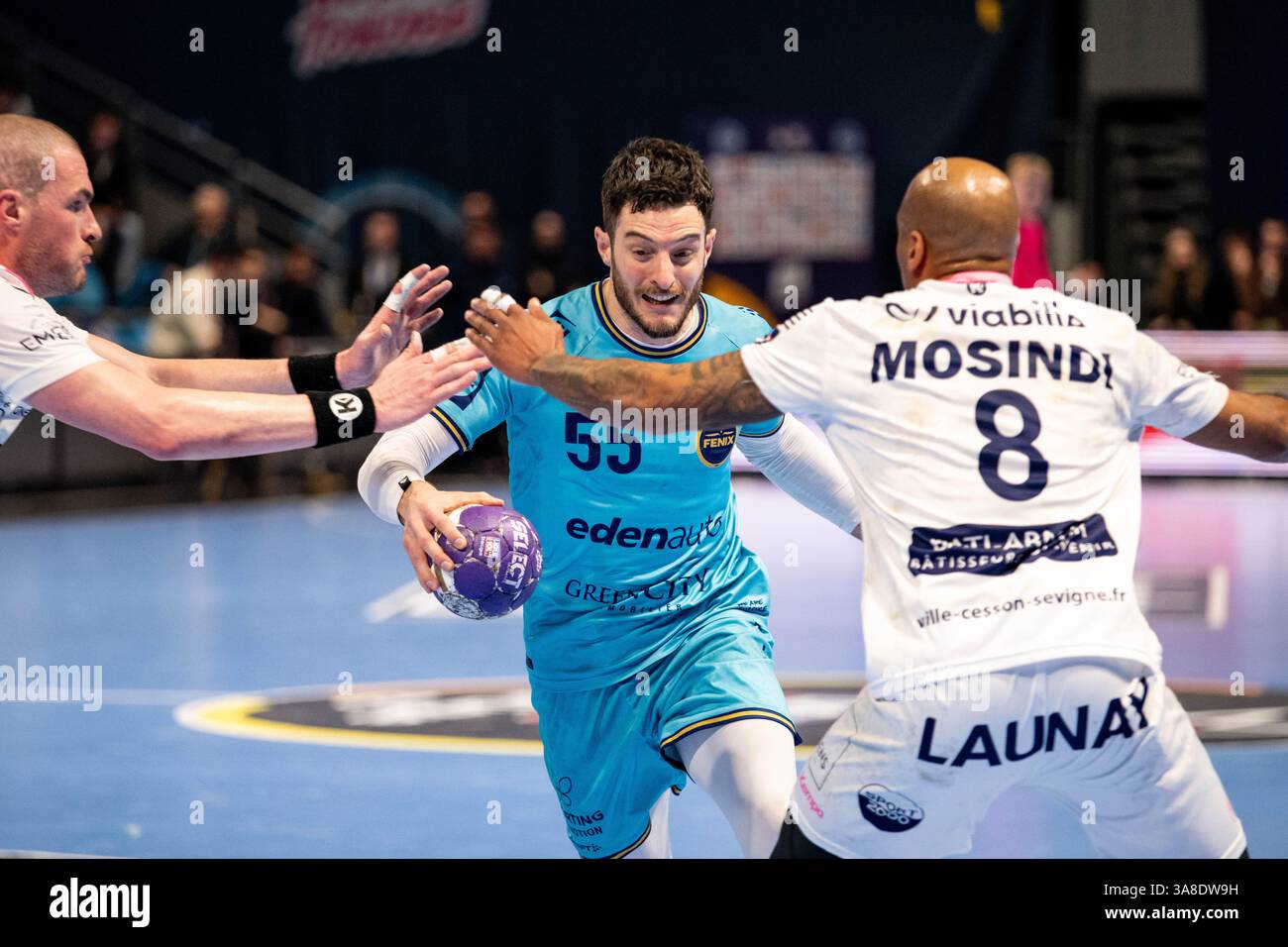 Niko Mindegia of Toulouse during the French championship, Liqui Moly StarLigue handball match ...