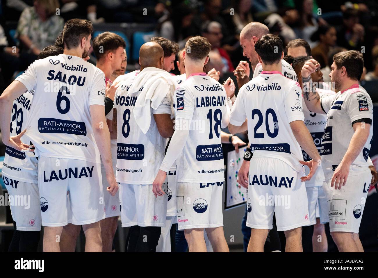 Team of Rennes during the French championship, Liqui Moly StarLigue handball match between Fenix ...