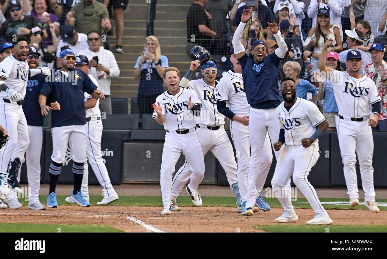 Tampa, United States. 28th Mar, 2025. Tampa Bay Rays players wait at ...