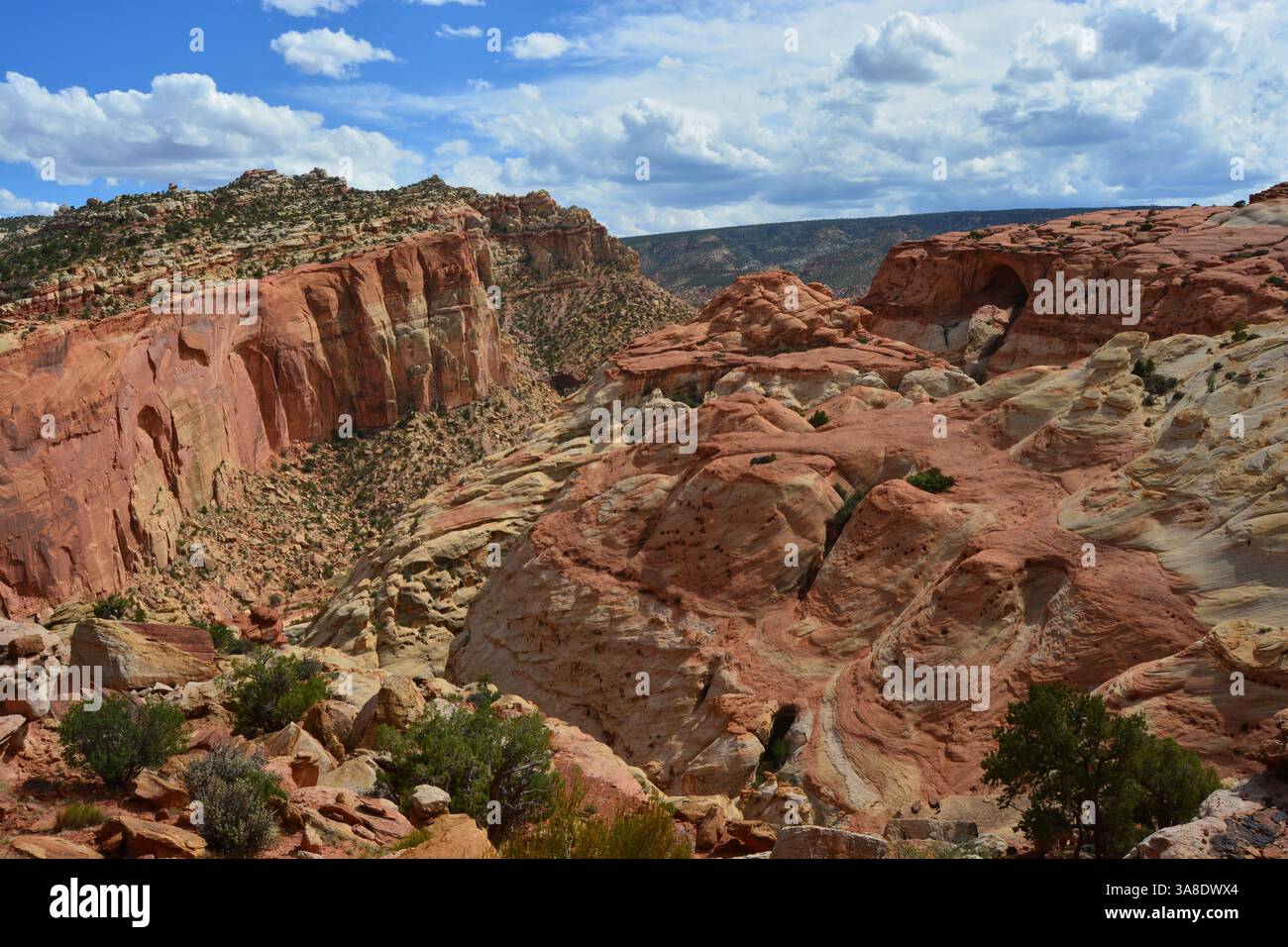 Cassidy Arch Trail at Capitol Reef National Park Utah Stock Photo - Alamy