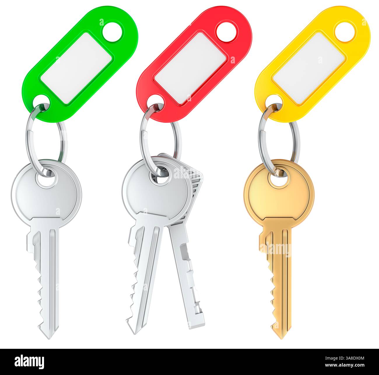 Keys with Plastic Key Tags with empty labels, 3D rendering isolated on ...