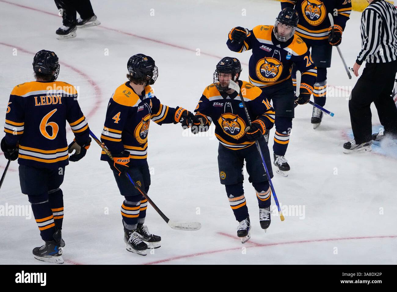 ALLENTOWN, PA - MARCH 28: Quinnipiac Bobcats Defenseman Davis ...
