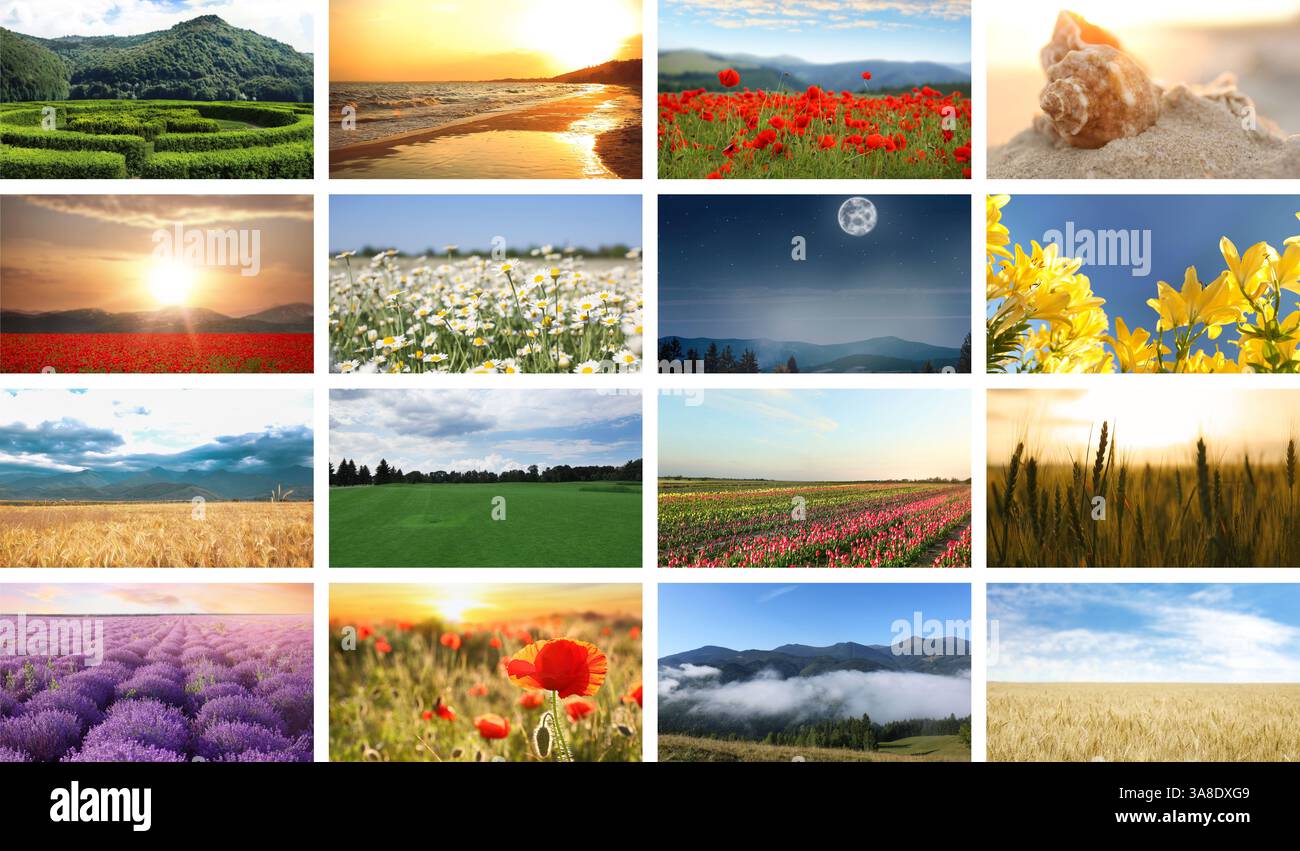 Picturesque nature pictures, collage. Many beautiful landscapes, banner ...