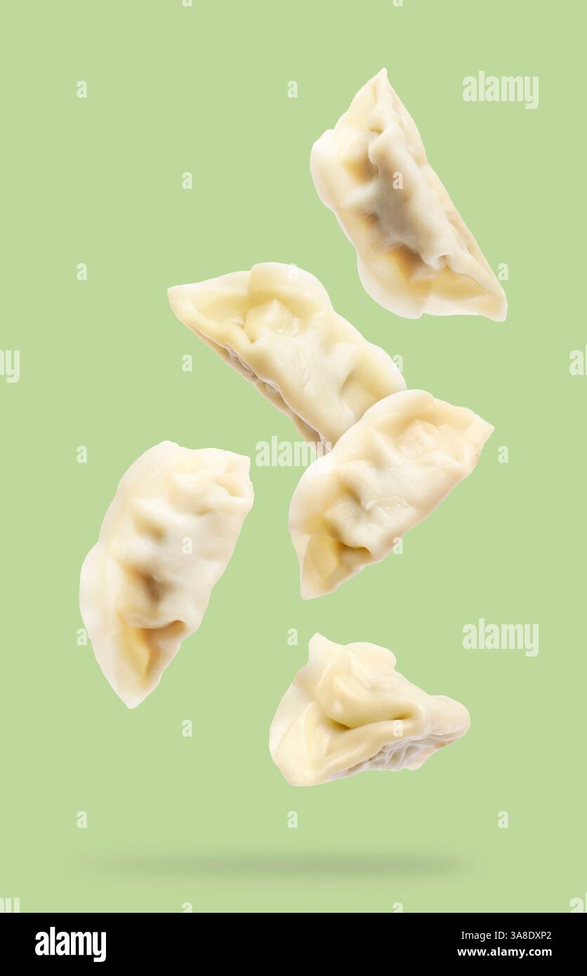Tasty boiled gyoza (dumplings) falling on light green background Stock ...