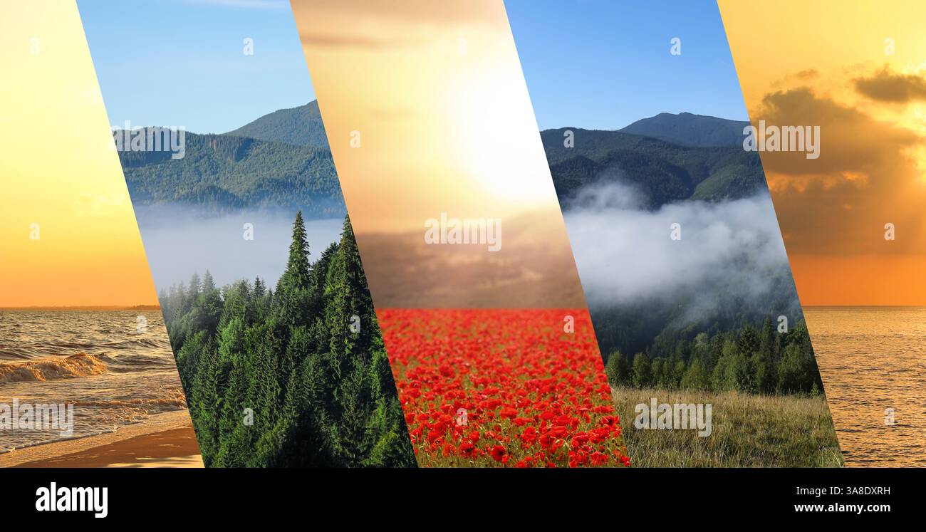 Picturesque nature pictures, collage. Beautiful landscapes, banner ...