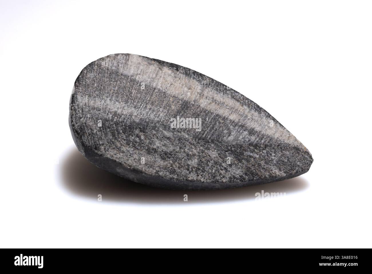 Natural Trilobite Fossil Stone Specimen with Distinctive Pattern and ...