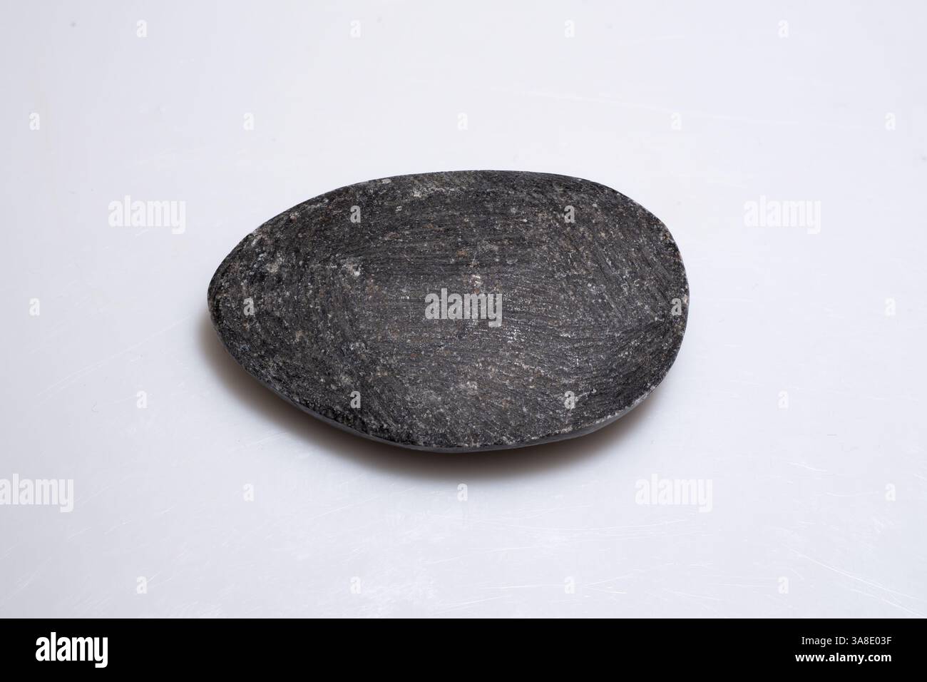 Natural Trilobite Fossil Embedded in Dark Stone on White Background ...