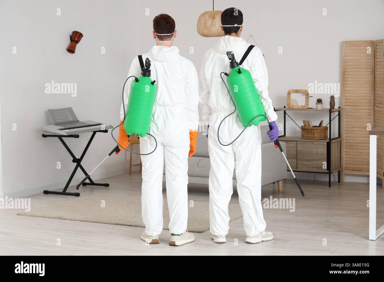 Male workers with disinfectant in room, back view Stock Photo - Alamy