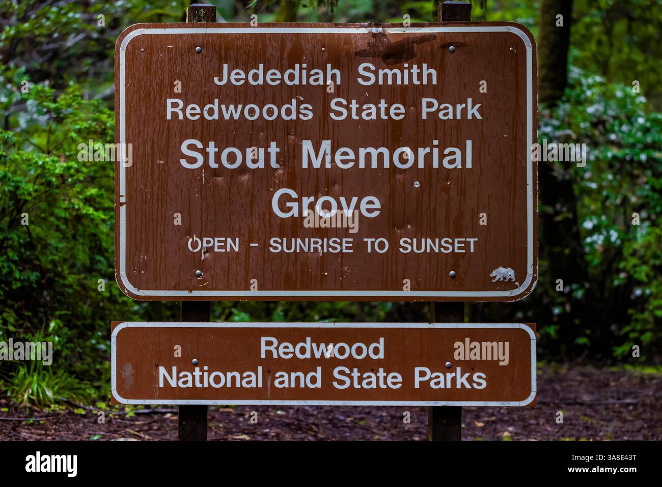 Sign for Stout Memorial Grove in Jedediah Smith Redwoods State Park ...