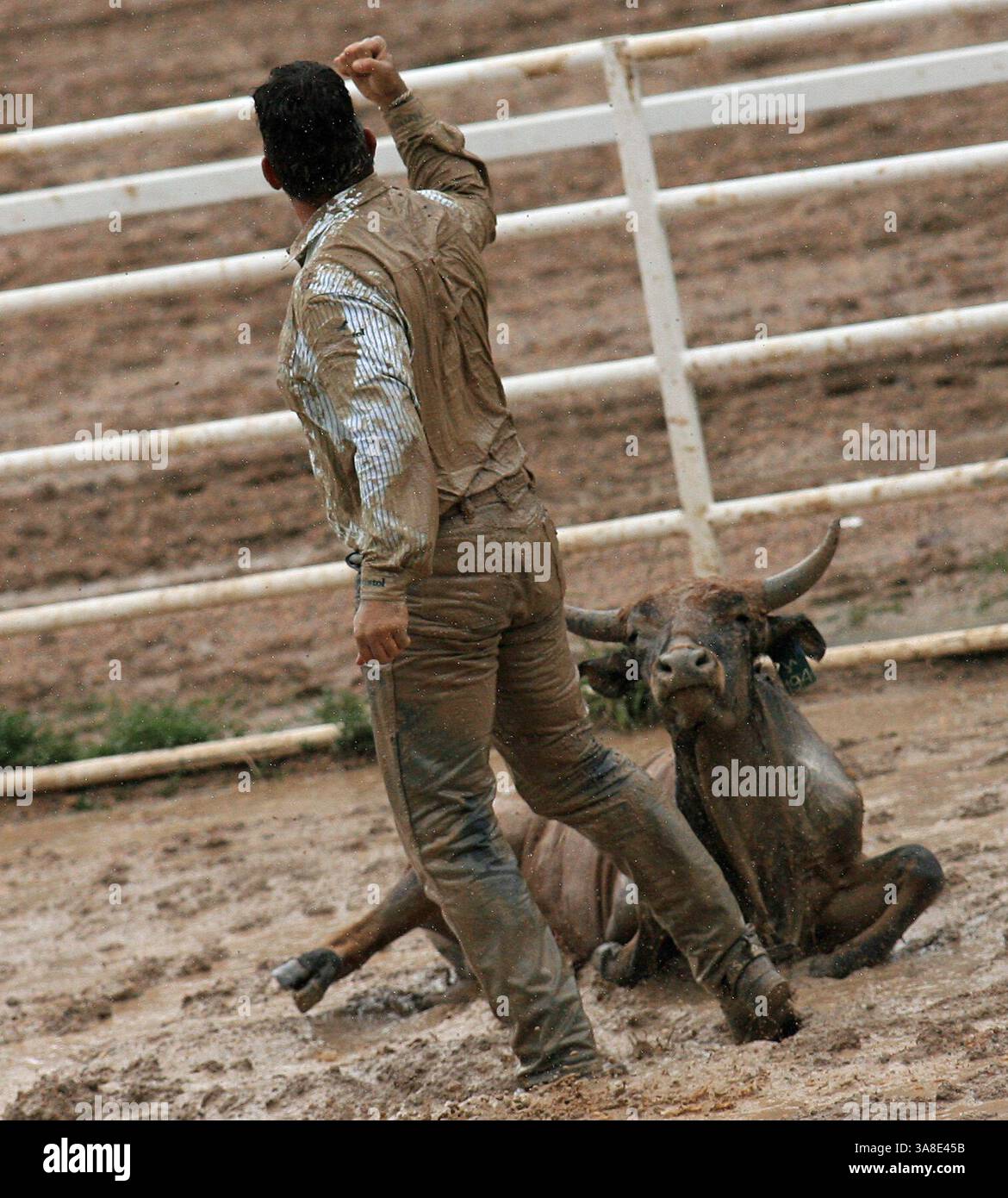 July 29, 2007 - Cheyenne, Wyoming, U.S - Bull Dogger shares a rare ...