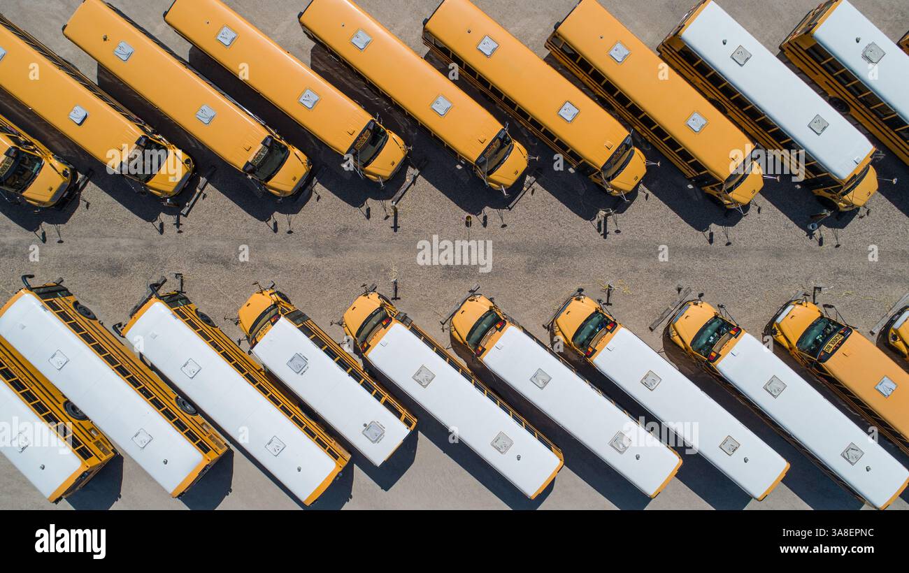 A row of yellow school buses are parked in a lot. The buses are all the ...