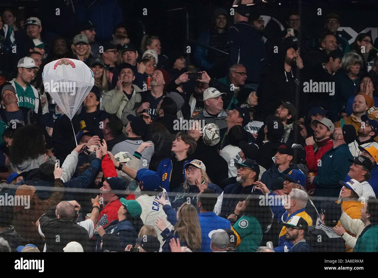 Fans vie for hot dogs attached to small parachutes during the Seattle ...