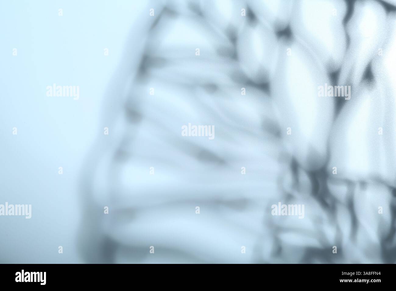 Light and shadows falling on white background Stock Photo - Alamy