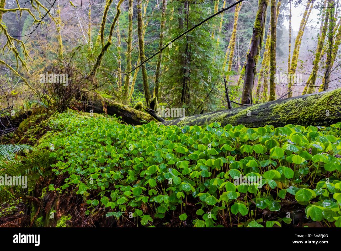 Closed state park in oregon hi-res stock photography and images - Alamy