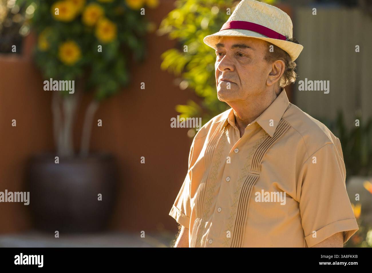 Mark margolis better call saul hi-res stock photography and images - Alamy