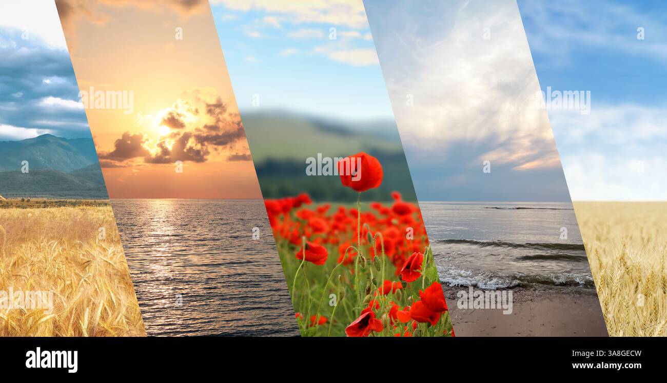 Picturesque nature pictures, collage. Beautiful landscapes, banner ...