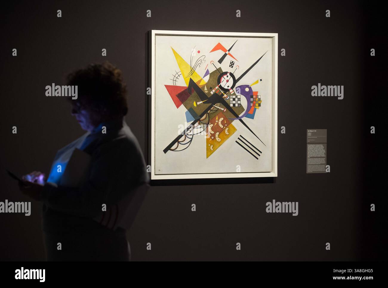 Malaga, Spain. 28th Mar, 2025. A painting title: "Vassily Kandinsky ...