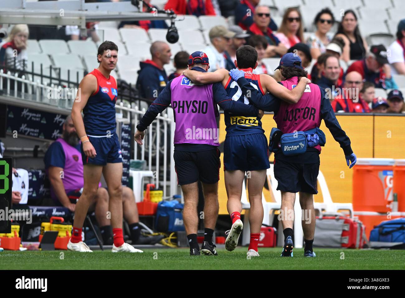 Xavier Lindsay of the Demons exits the field after sustaining an injury ...