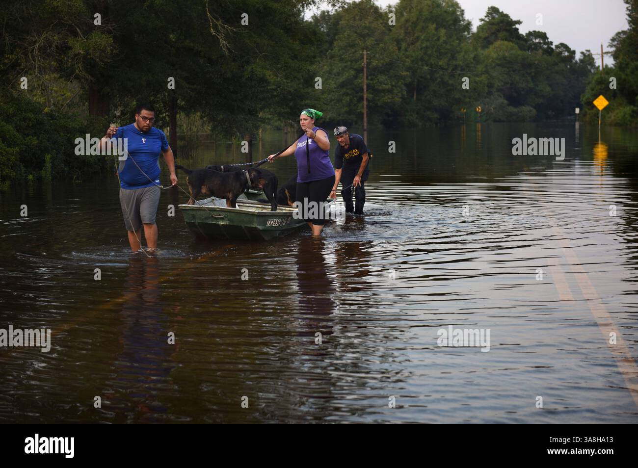 September 3, 2017 - Vidor, Texas, U.S. - Animal rescuers take dogs from ...
