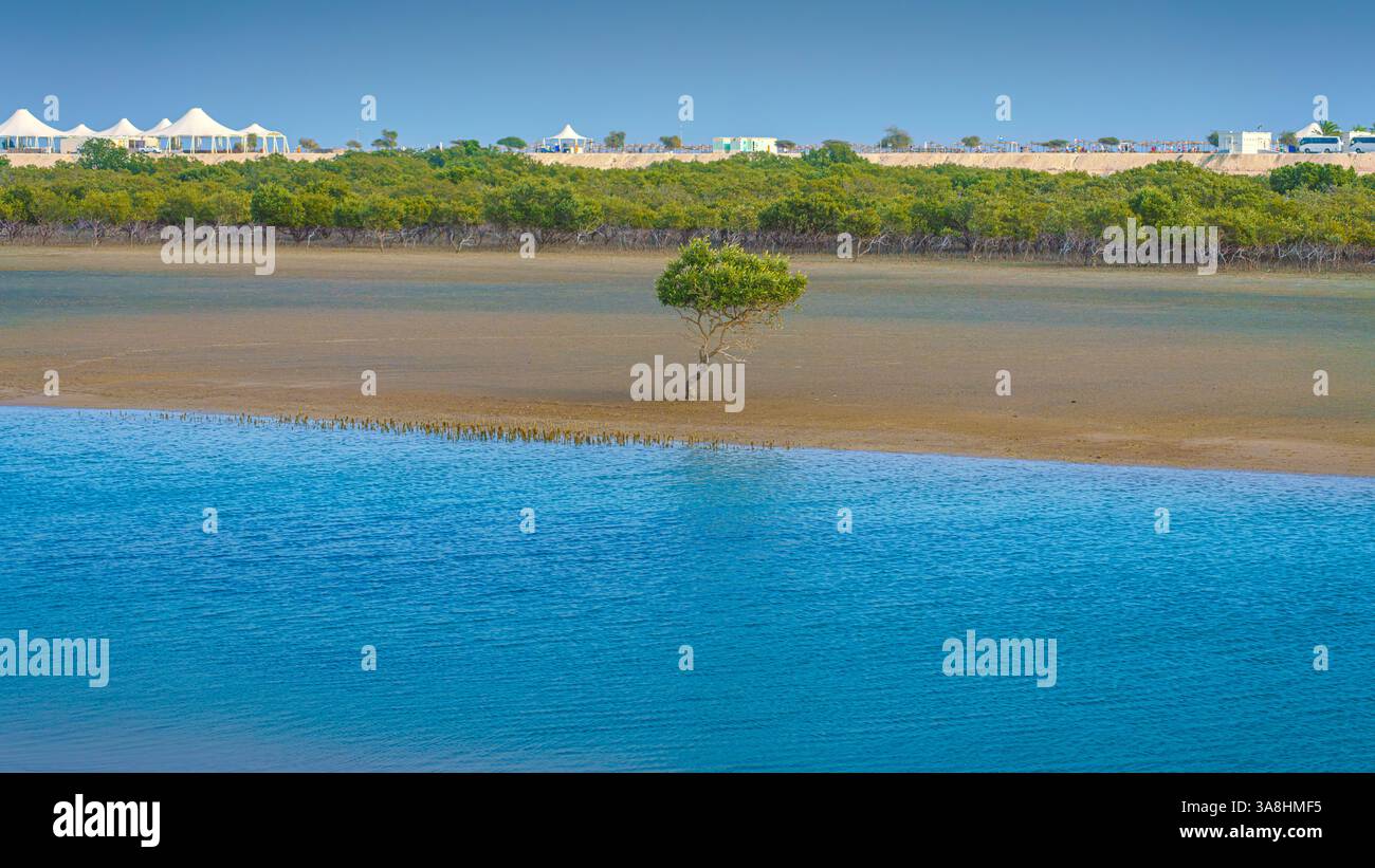 Sir Bani Yas Island, United Arab Emirates - Jan 18 2024, aerial view of ...