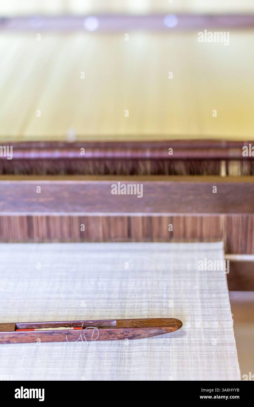 Vital fibers hi-res stock photography and images - Alamy