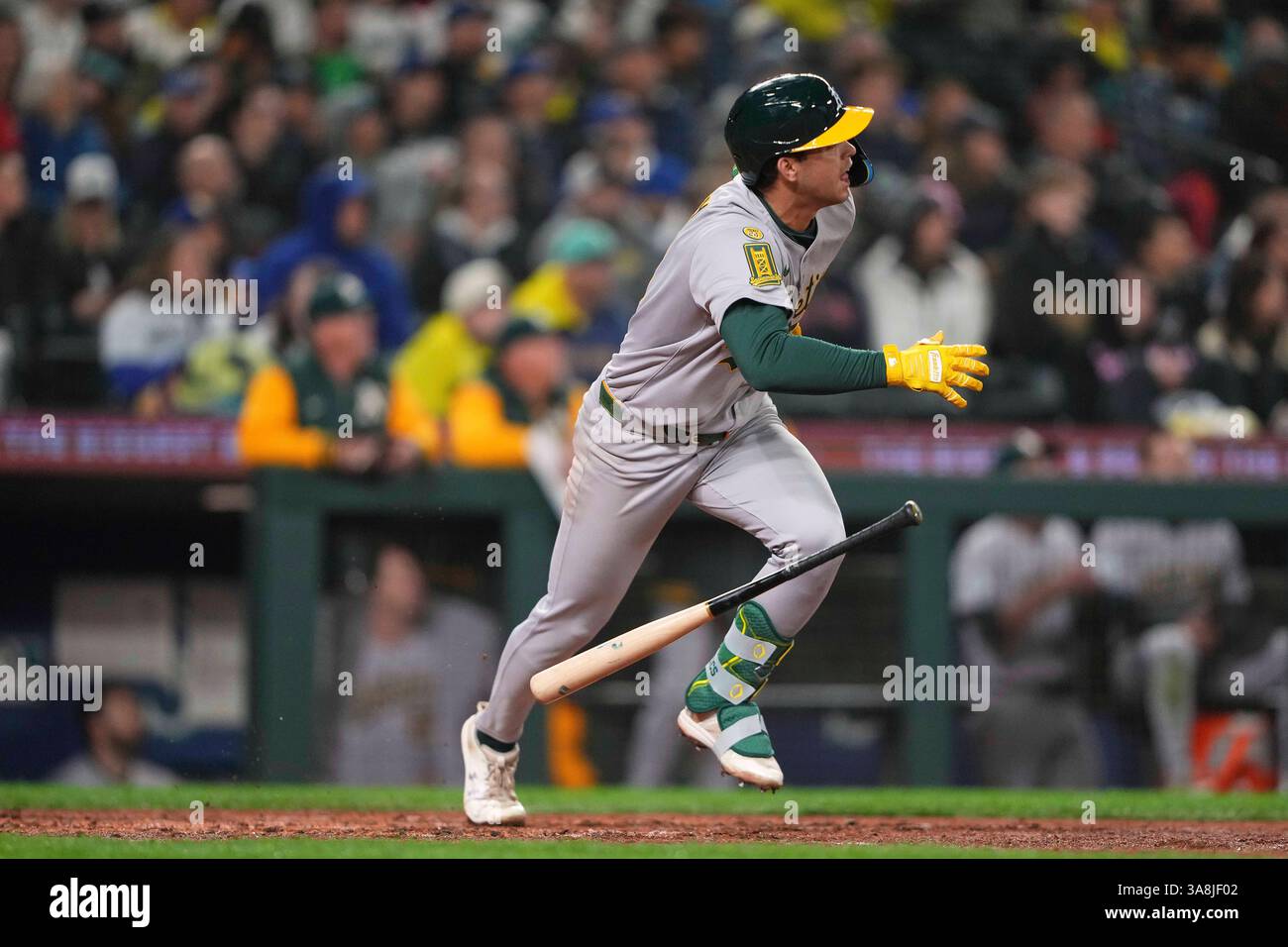 Athletics' Max Muncy follows through on a solo home run, his first ...