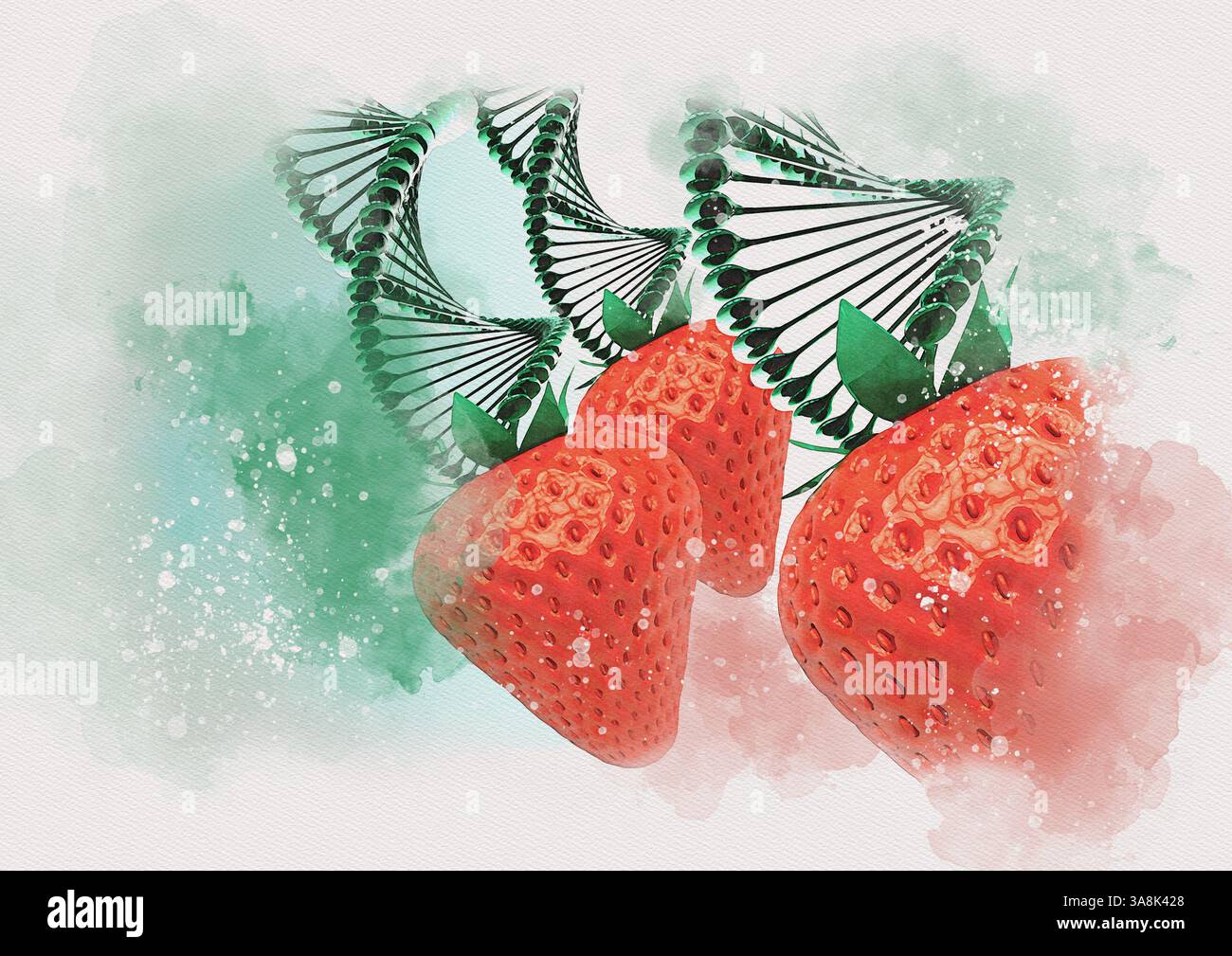 Genetically-modified strawberries, illustration Stock Photo - Alamy