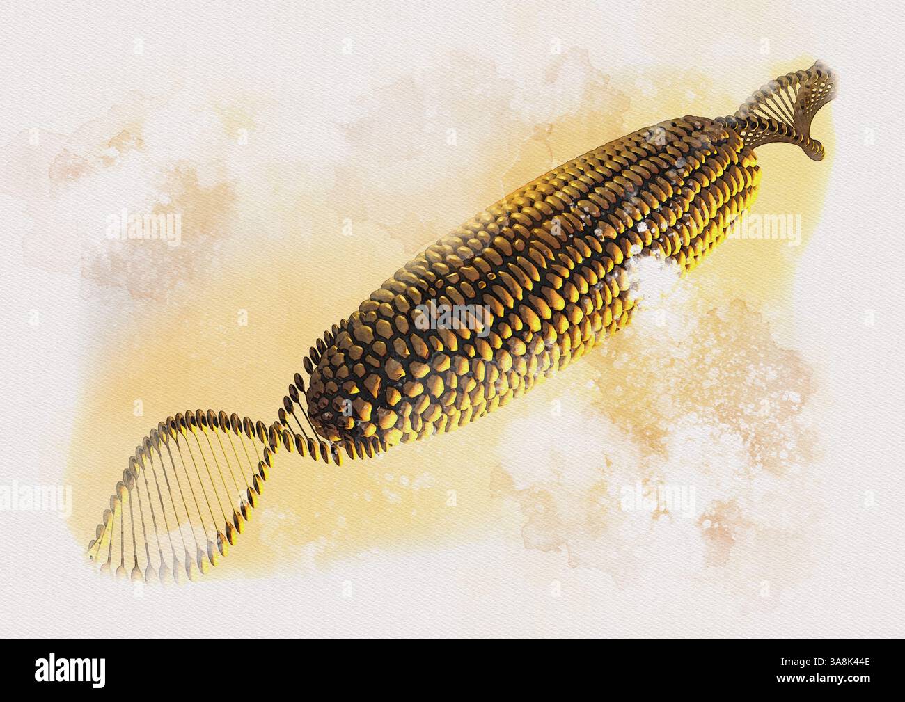Genetically-modified corn, illustration Stock Photo - Alamy