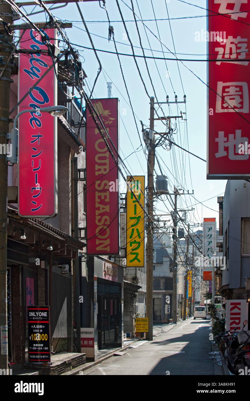 Yoshiwara, a former Edo period (1603-1868) high-class courtesan ...
