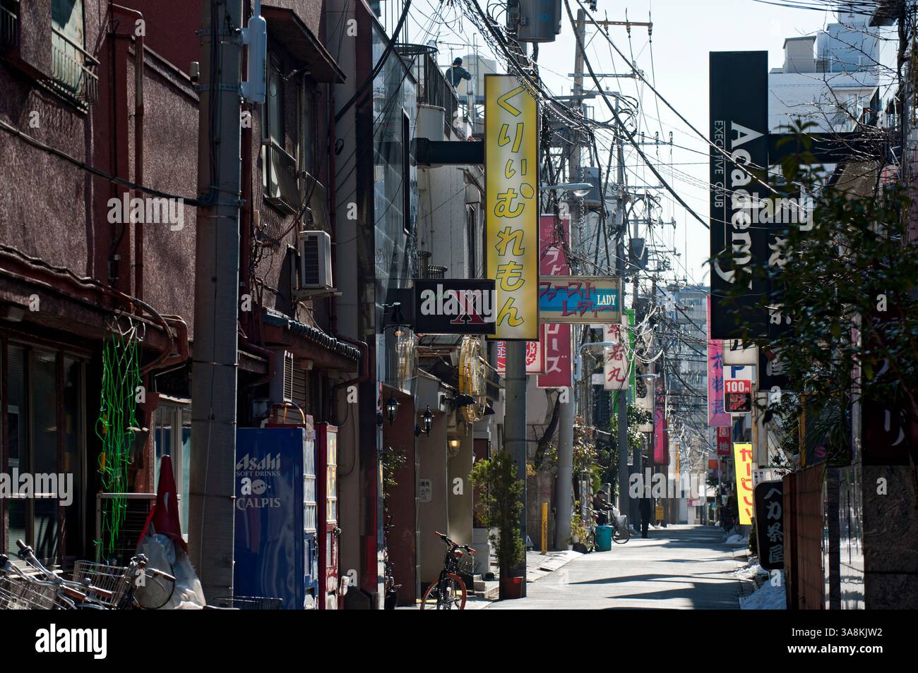 Yoshiwara, a former Edo period (1603-1868) high-class courtesan ...