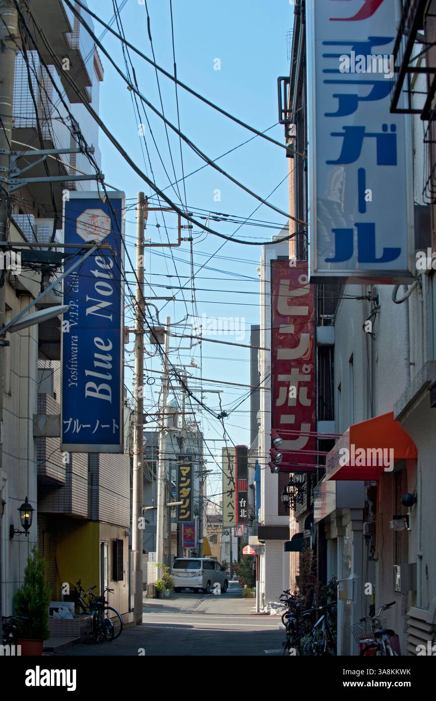 Yoshiwara, a former Edo period (1603-1868) high-class courtesan ...