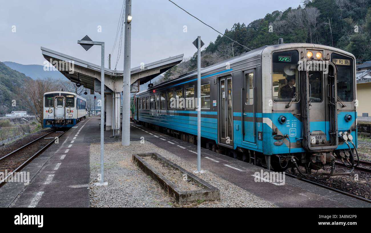 KiHa 54 and KiHa 32 Series trains meet at Ekawasaki Station on the JR ...