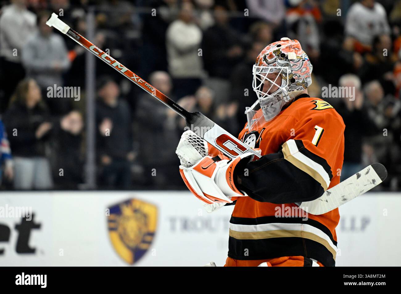 Anaheim Ducks goaltender Lukas Dostal (1) skates against the New York ...