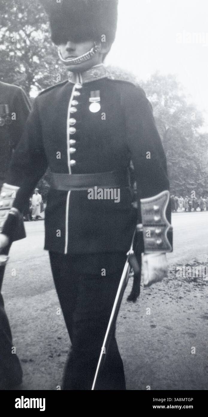 An officer of the Coldstream Guards in full dress uniform, June 1953 ...