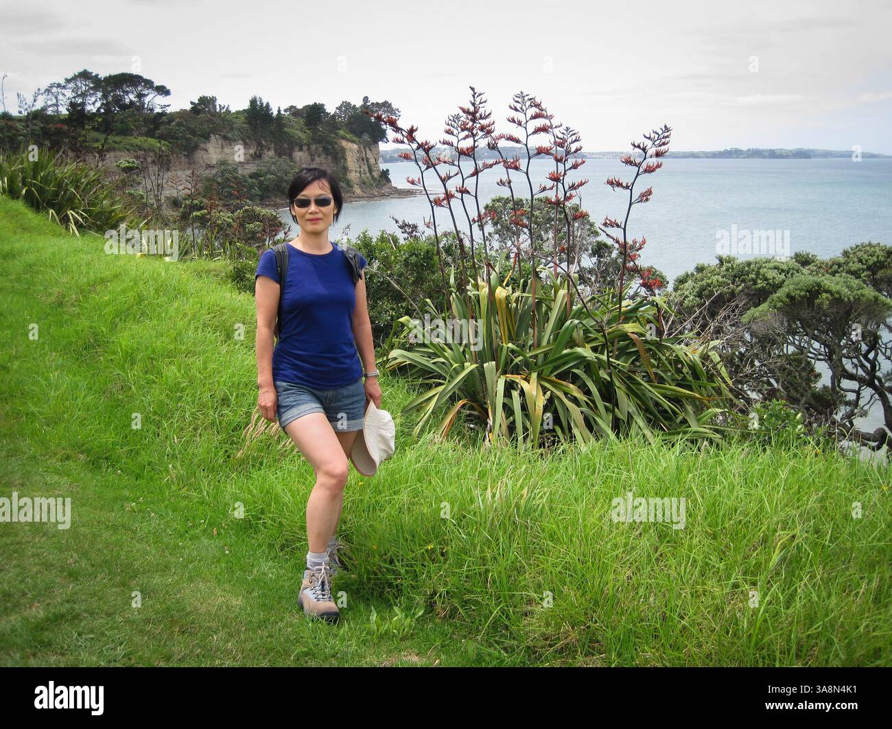 Woman hiking the Long Bay coastal Okura Track. Native New Zealand Flax ...