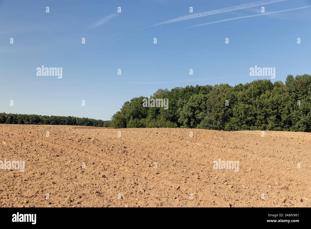 a field during the preparation for sowing and sky, the forest in spring ...