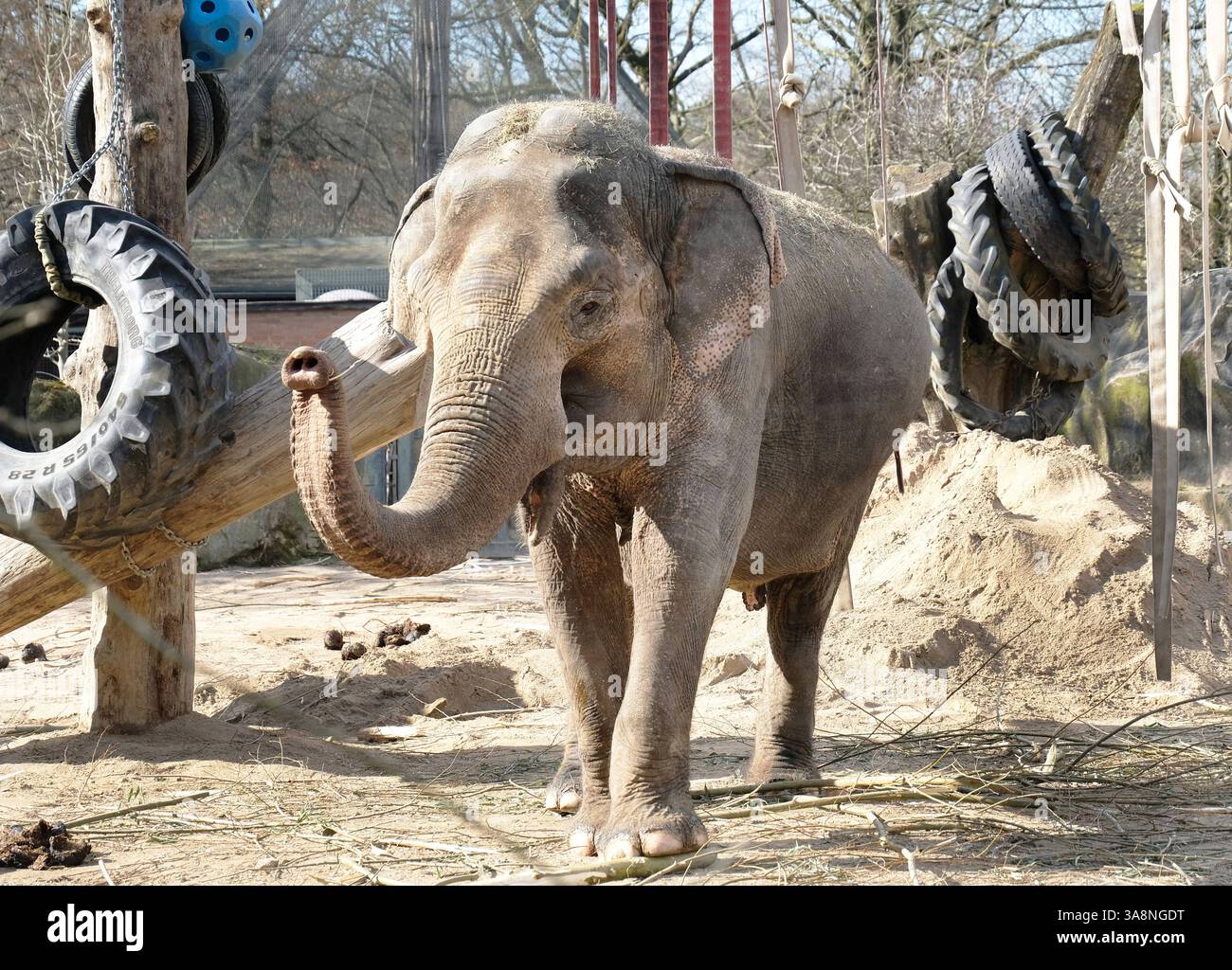 Tiere im Zoo Krefeld auf der Uerdinger Strasse 377 in NRW-Deutschland ...