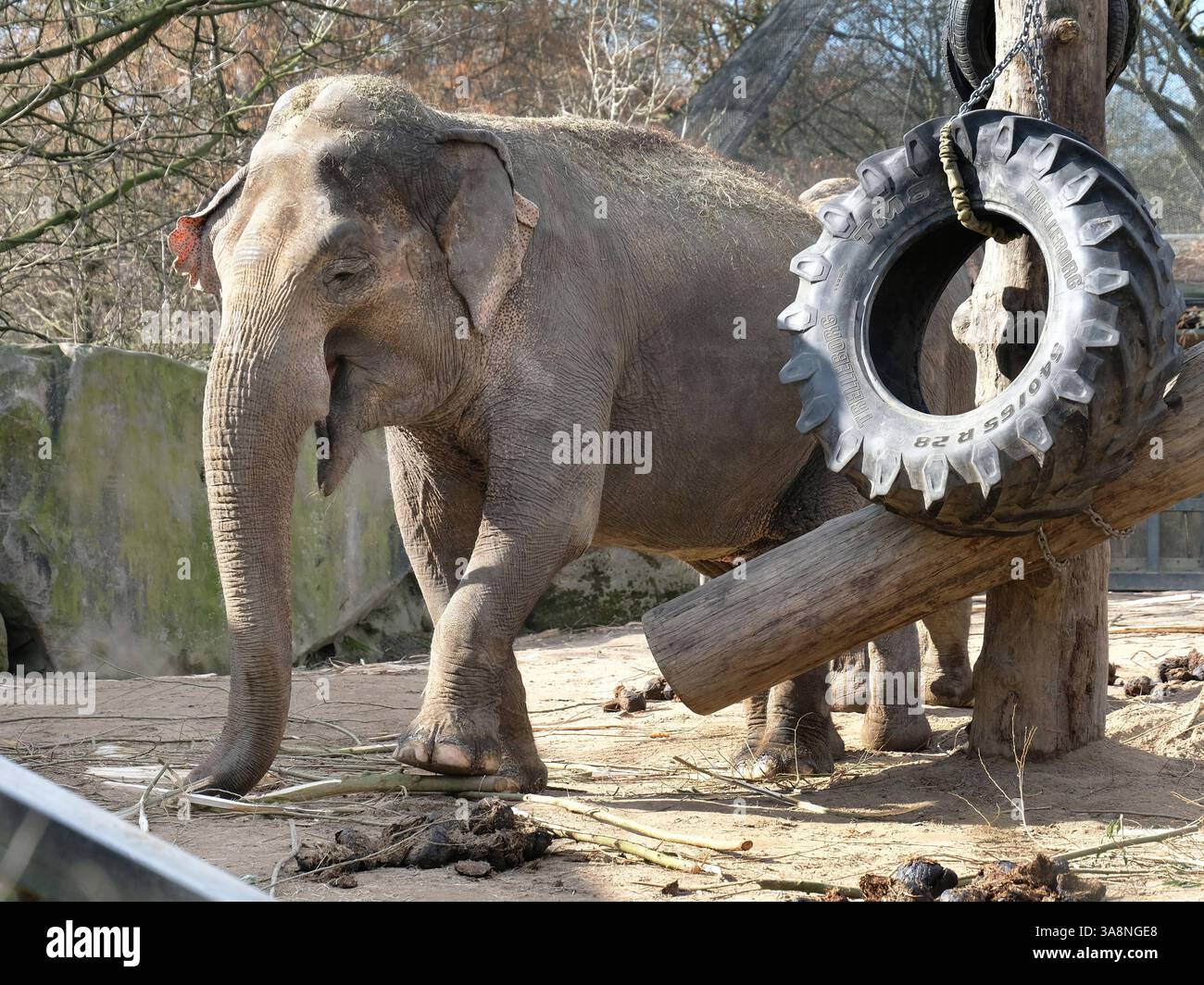 Tiere im Zoo Krefeld auf der Uerdinger Strasse 377 in NRW-Deutschland ...