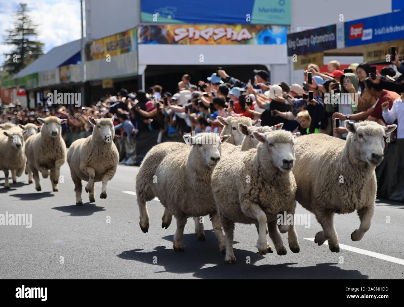 Te Kuiti, New Zealand. 29th Mar, 2025. People gather to watch "Running ...