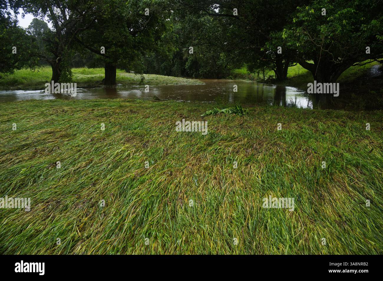 Flooding in South East Queensland Stock Photo - Alamy