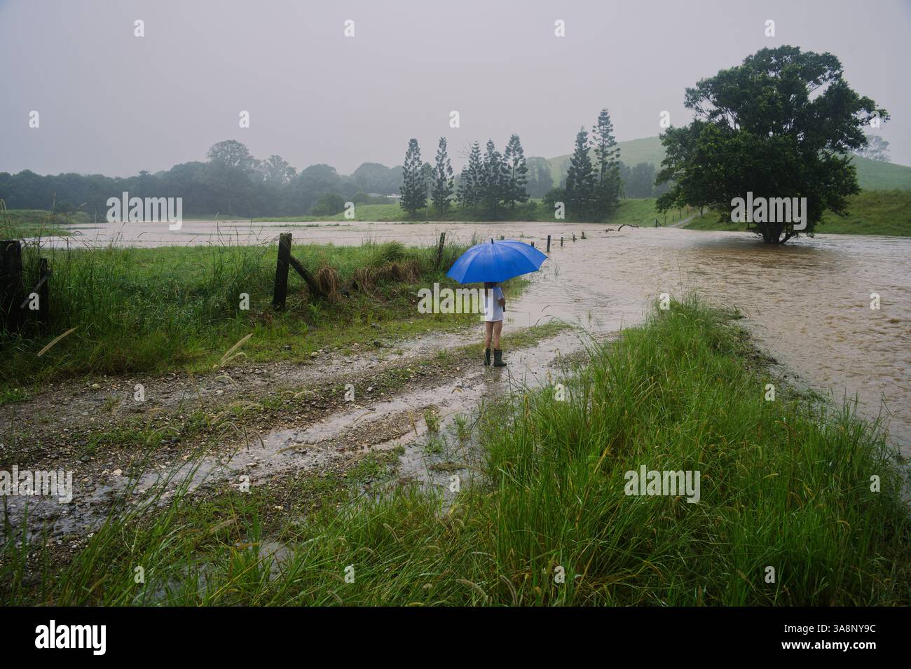 Flooding in South East Queensland Stock Photo - Alamy