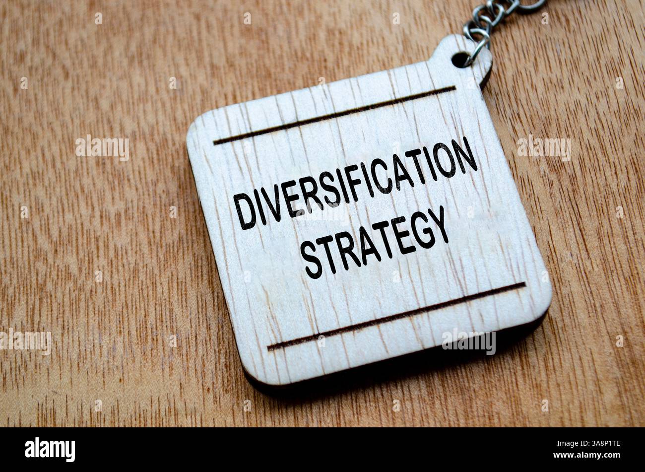 Top view of Diversification Strategy text on wooden block ...