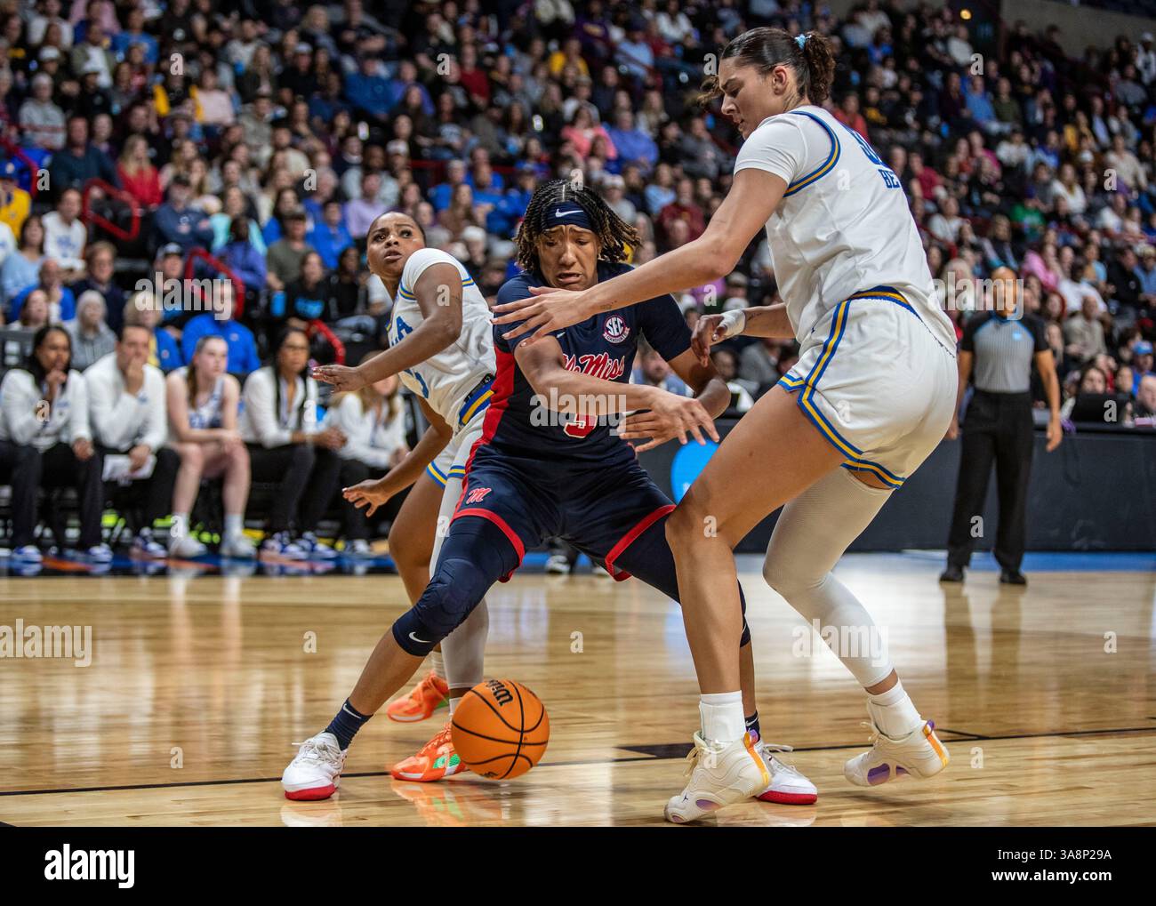 2025 0244 jpg hi-res stock photography and images - Alamy