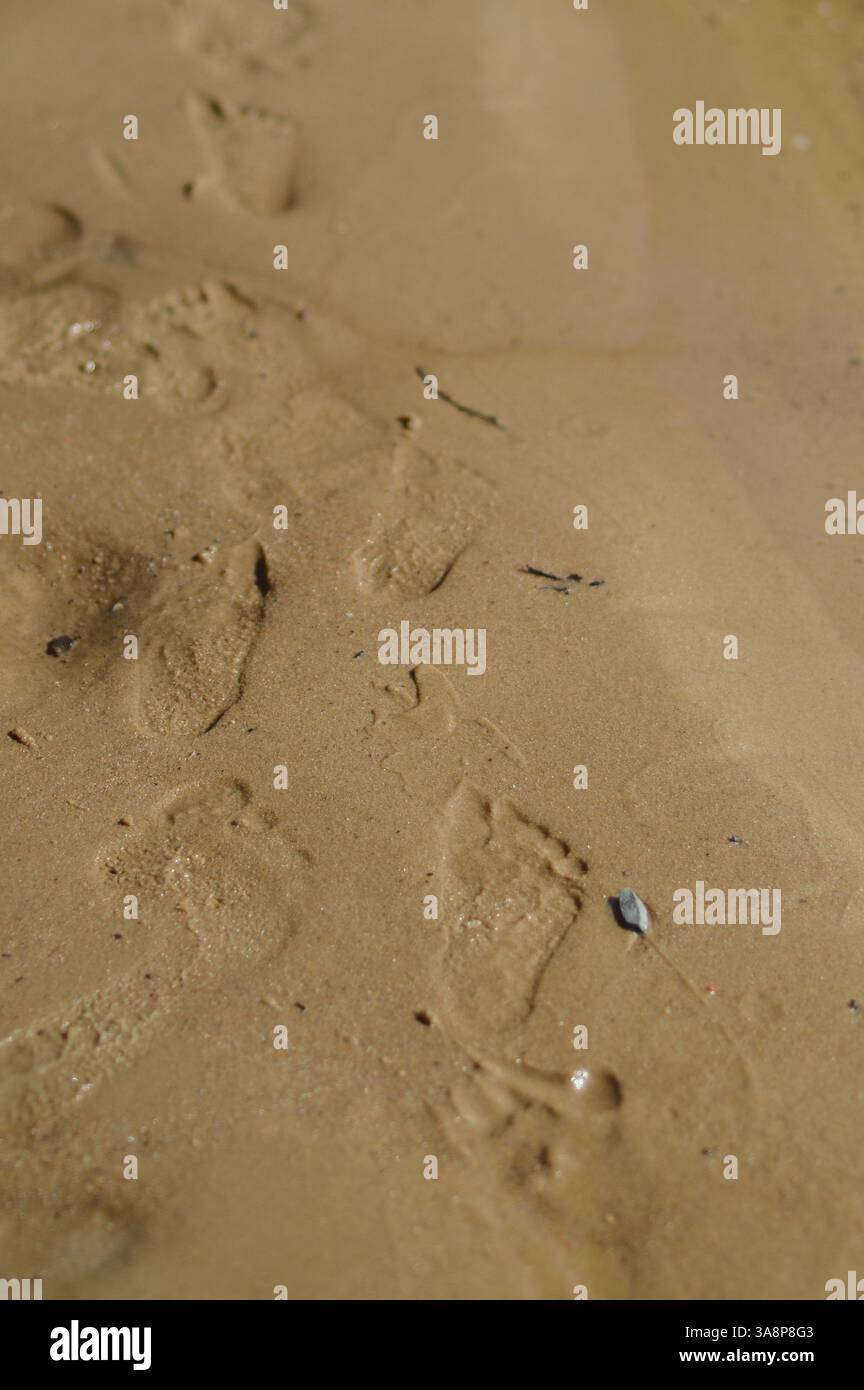 Calm feeling smooth beach sand hi-res stock photography and images - Alamy