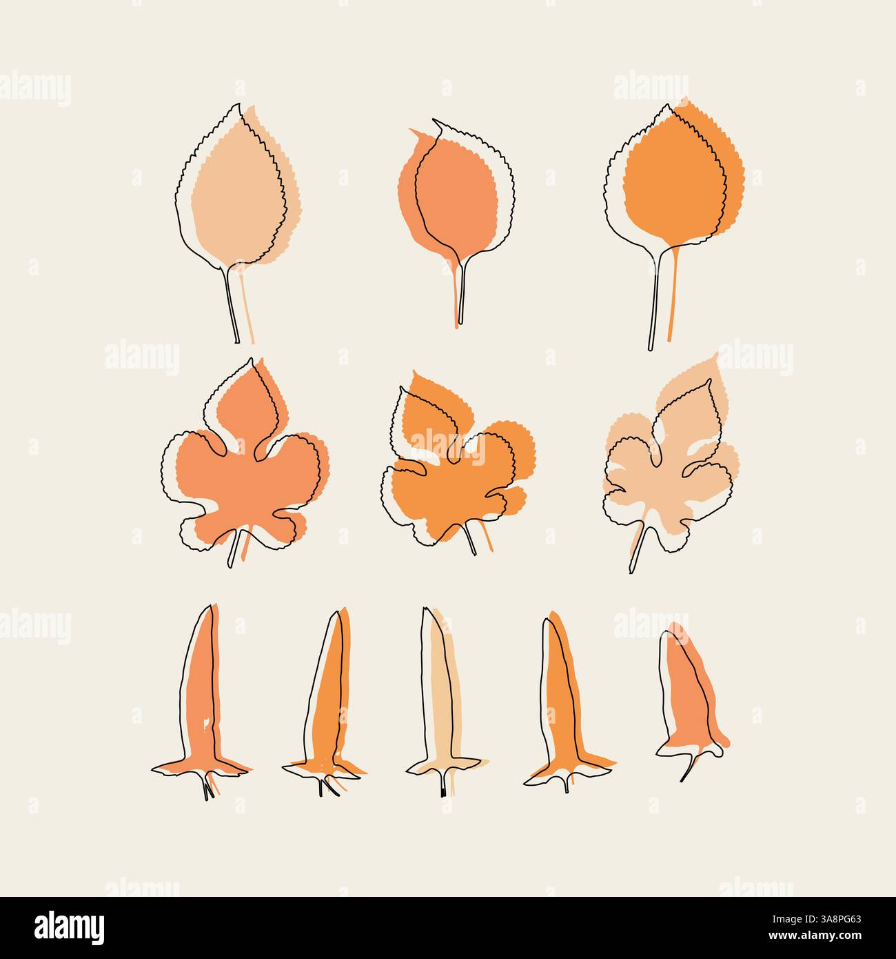 Hand-Drawn Autumn Leaf Vector Set – Warm Orange Tones Botanical ...