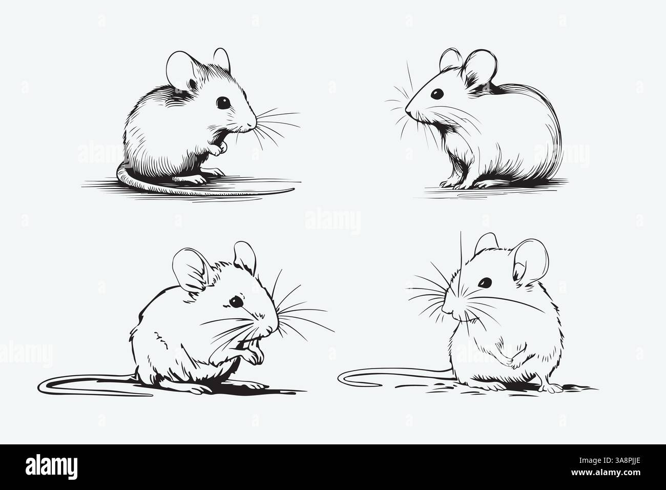 Rodent themed illustration hi-res stock photography and images - Alamy