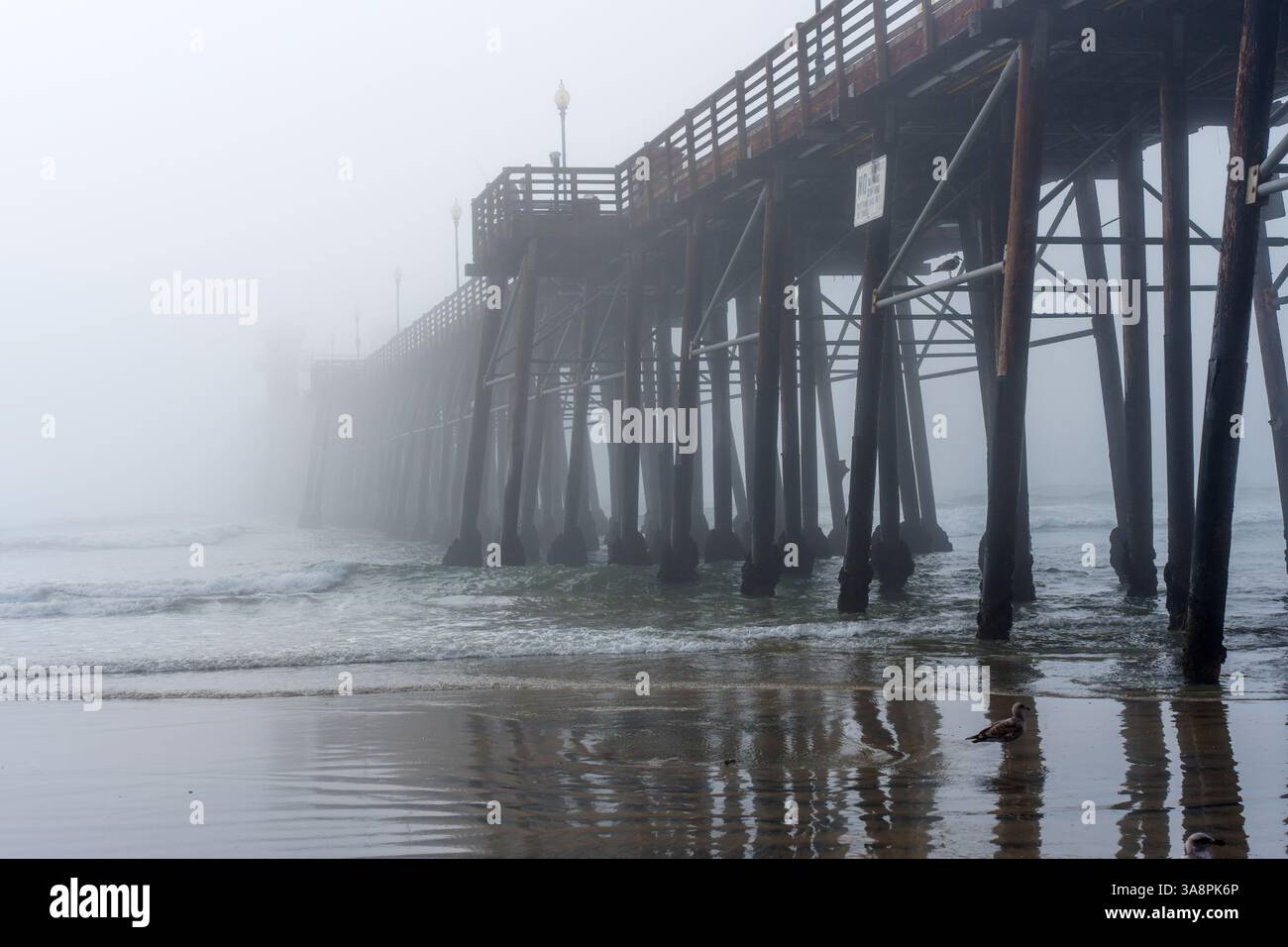Fog envelops the Oceanside Municipal Pier, creating a serene coastal ...