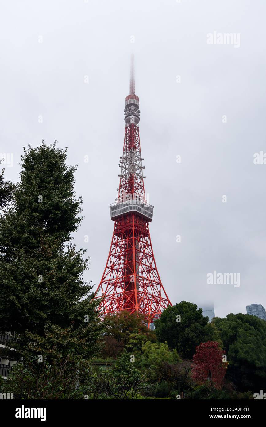 Tokyo Tower rises above lush green trees while its top fades into thick ...