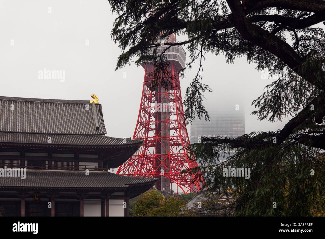 Tokyo Tower rises through mist behind Zojo-ji temple while tree ...