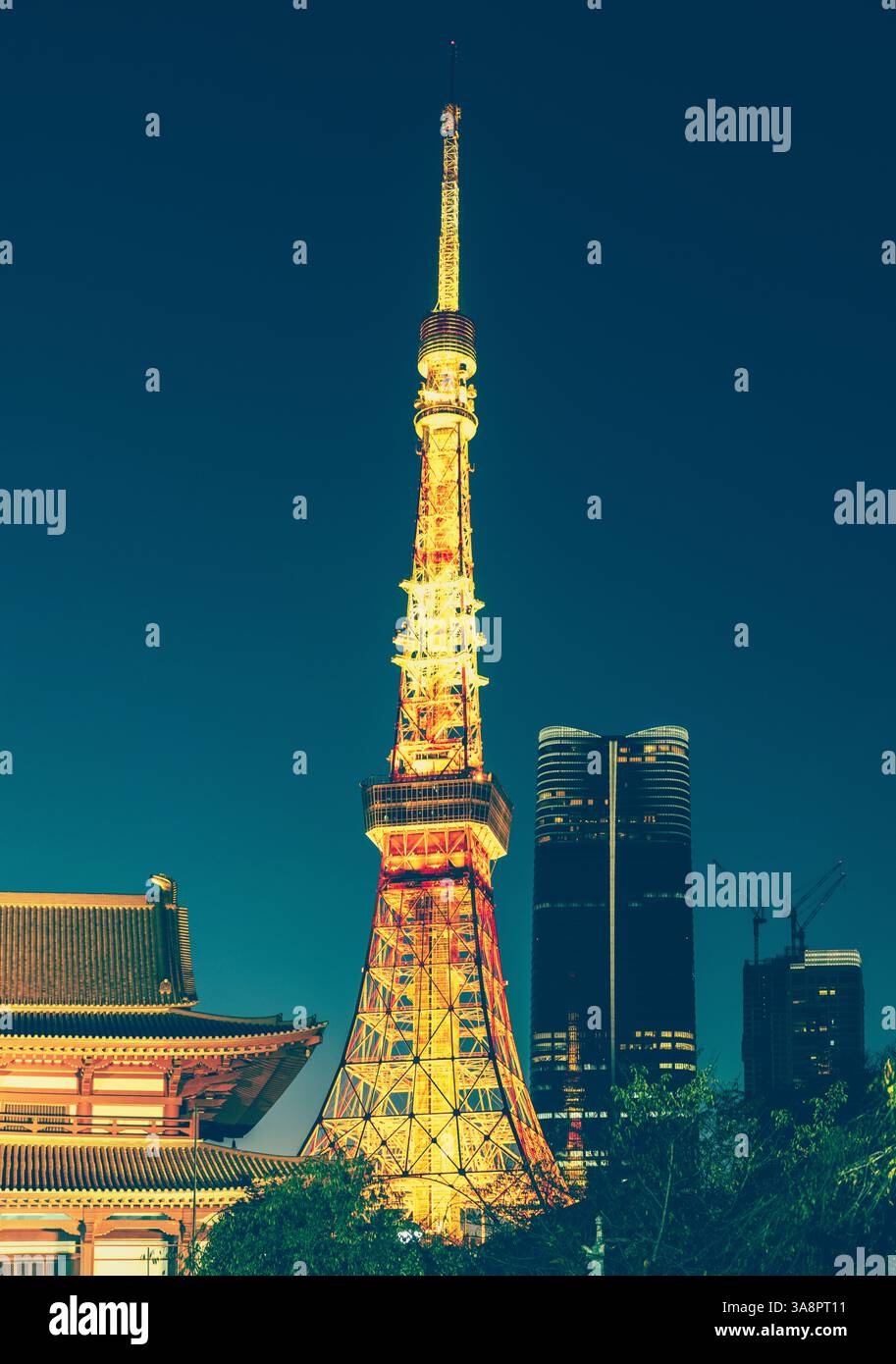 Vertical night scene of Tokyo Tower in a film-style tone standing near ...